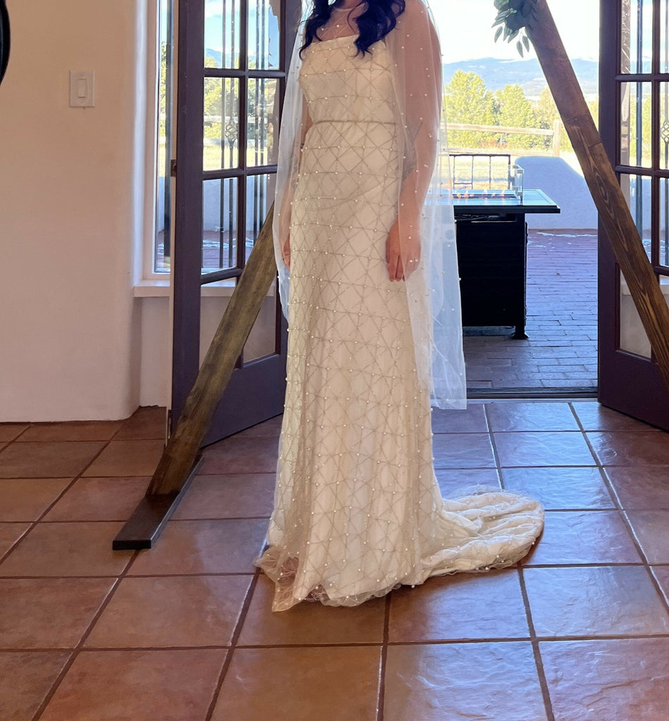 BHLDN Clemence Beaded Overlay Mesh Wedding Gown – PreOwnedWeddingDresses