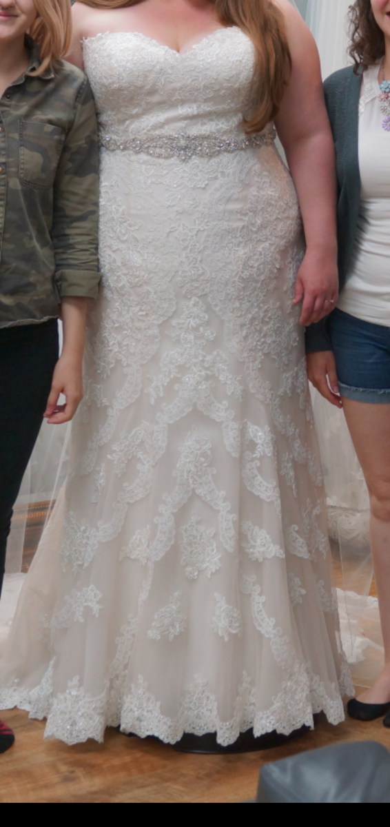 Essense of Australia D1846+ – Nearly Newlywed