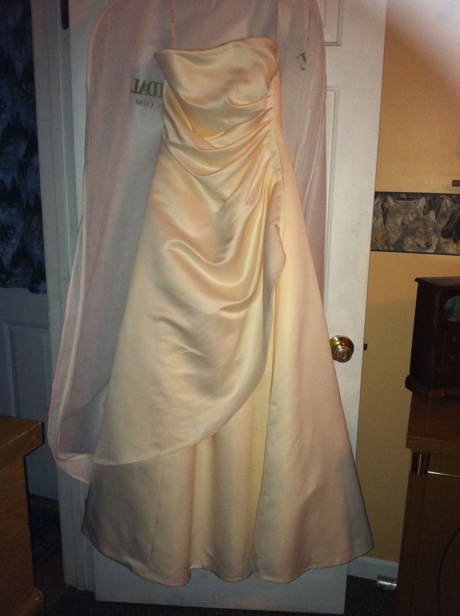 Other Strapless Plain Satin Drape – Nearly Newlywed